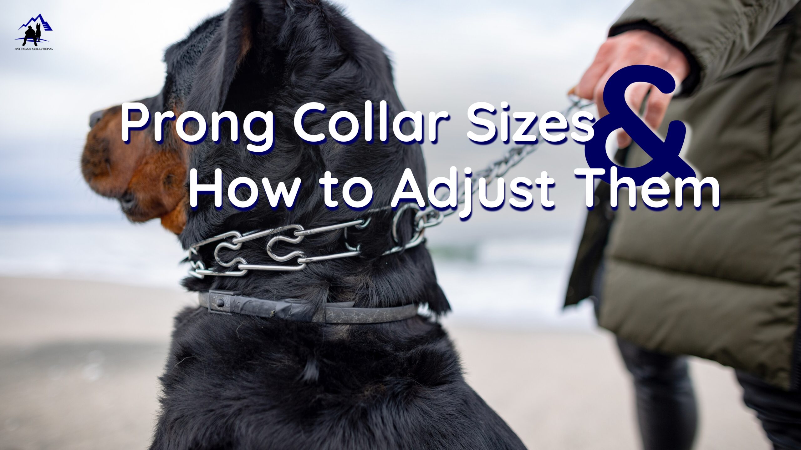 ow to Size & Adjust Your Prong Collar - Expert Dog Training in El Paso ...